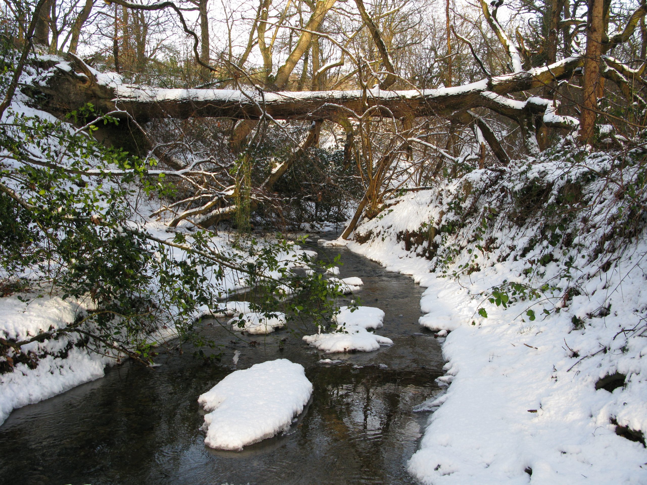A47 – Moss Valley Wildlife Group